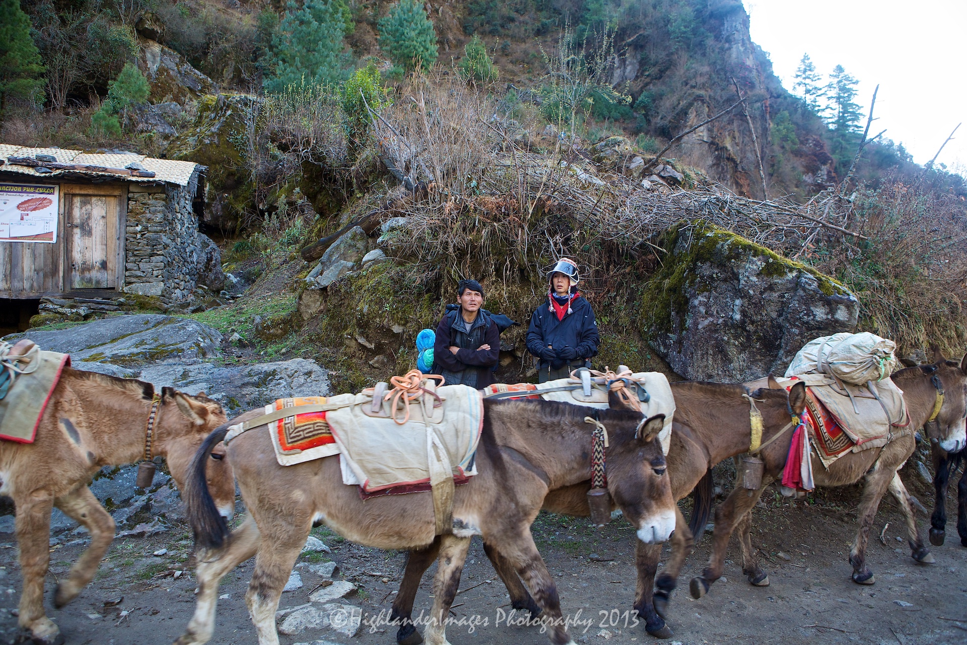 A donkey train heads down the trail between Phakding and Lukla ...
